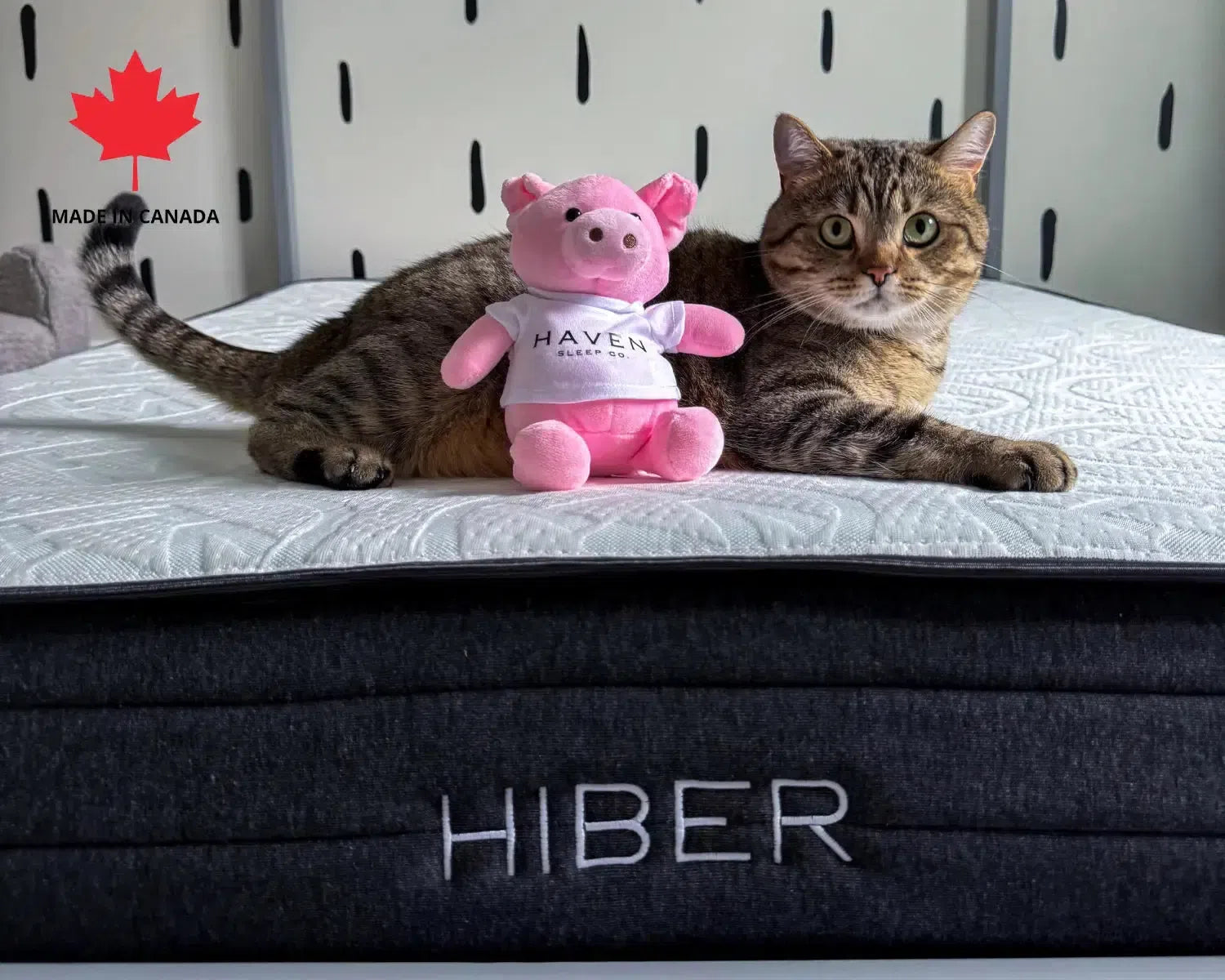 HIBER Tiny Homes Mattress – Slim, Eco-Friendly Comfort for Compact Spaces – Haven CANADA